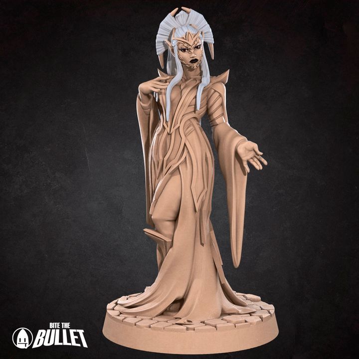 3D Printable Drow Matron by Bite the Bullet